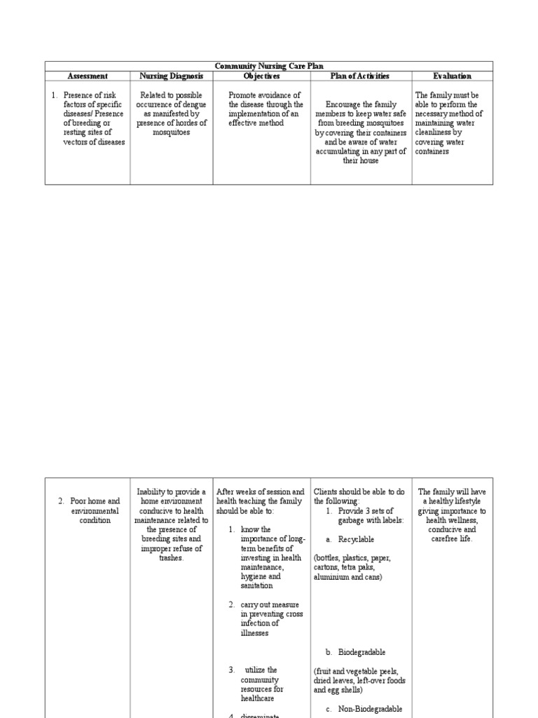 Community Nursing Care Plan Overview | PDF | Safety | Hygiene