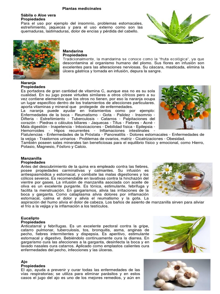 Plantas Medicinales | PDF | Resfriado comun | Vitamina C