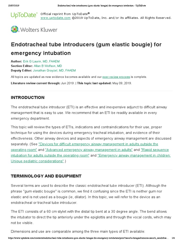 Endotracheal Tube Introducers (Gum Elastic Bougie) For Emergency ...