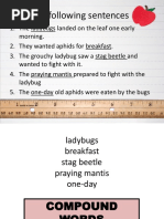 Rainbow Compound Words | PDF | Language Arts & Discipline