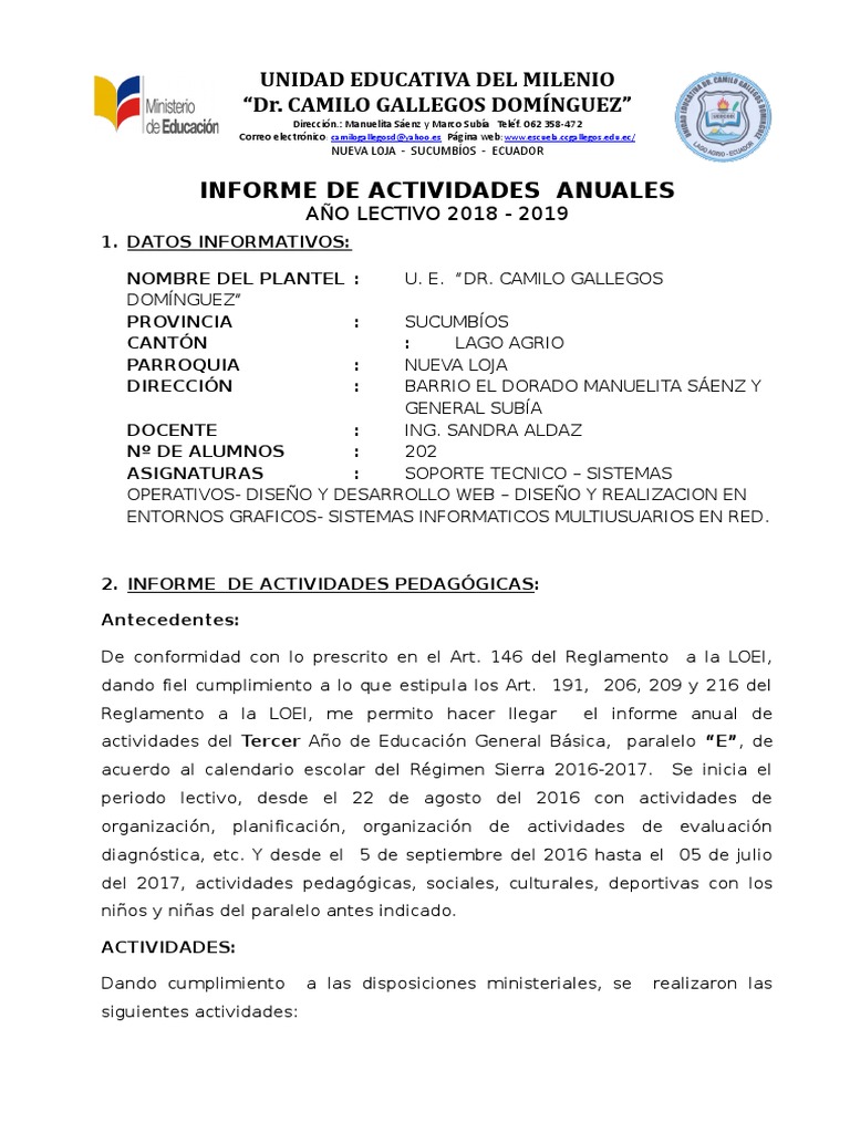 Informe Anual de Actividades 2018-2019 | PDF | Maestros | Aprendizaje