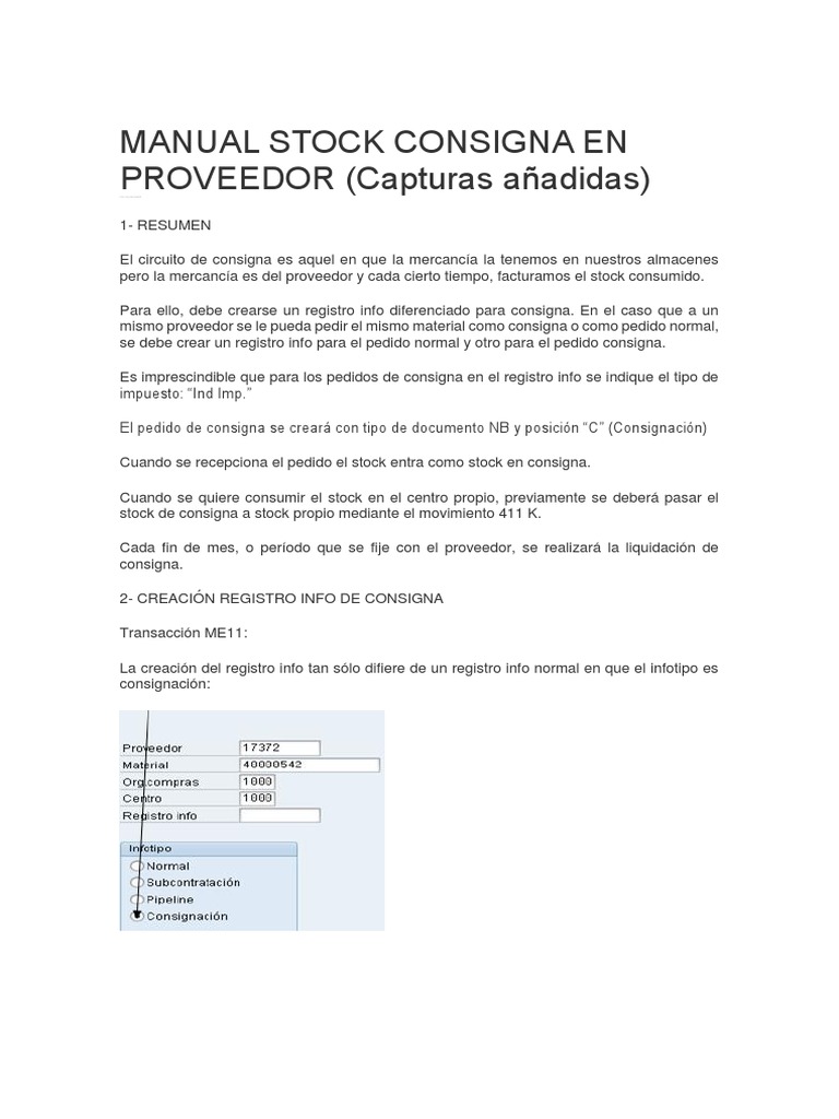 Manual Stock Consigna en Proveedor | PDF | Informática | Informática y ...