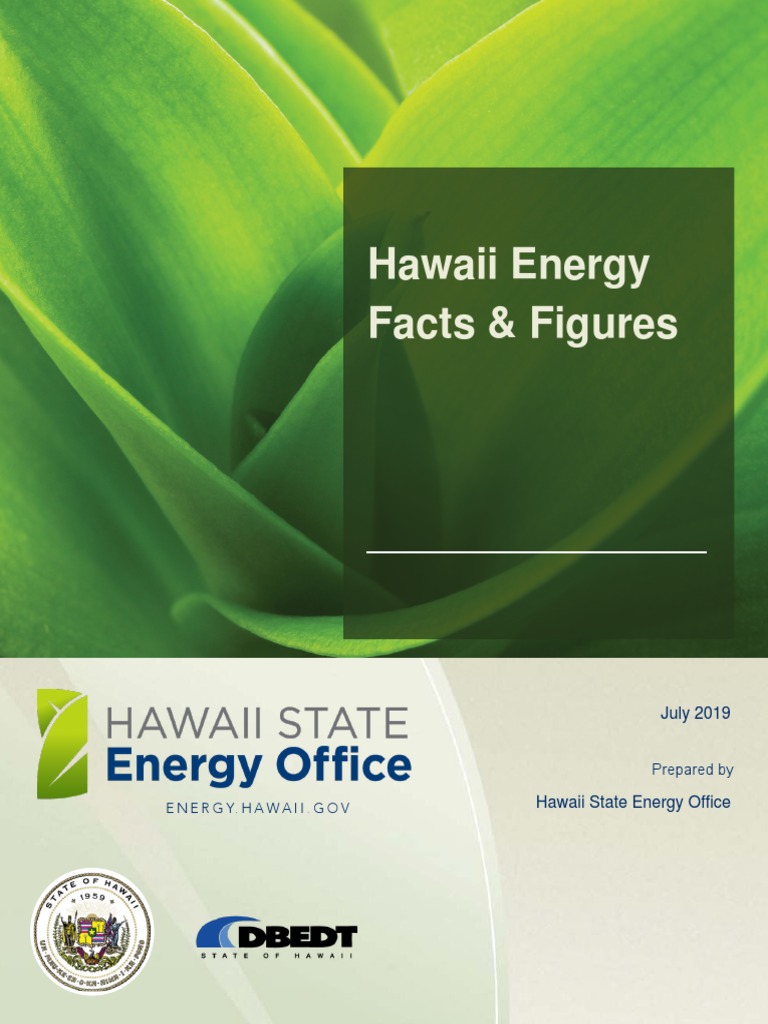2019 State Energy Office Fact Sheet | PDF | Leadership In Energy And ...