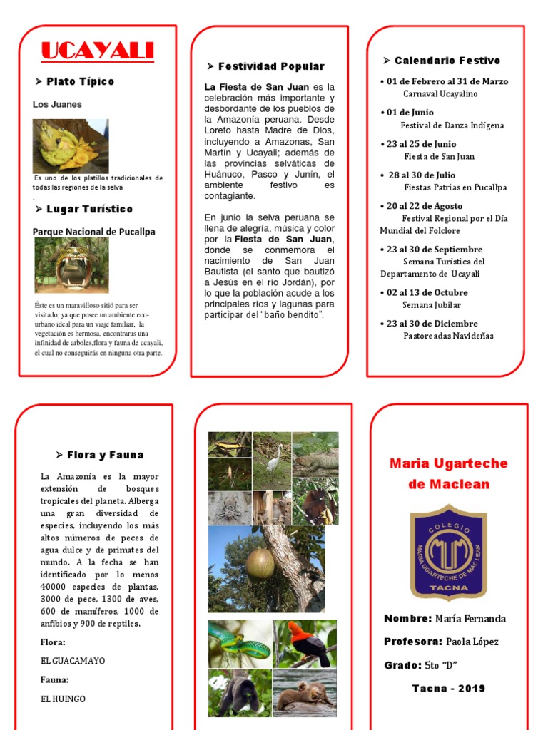 Triptico Ucayali | PDF | Selva amazónica | Evento festivo (incluido el carnaval)