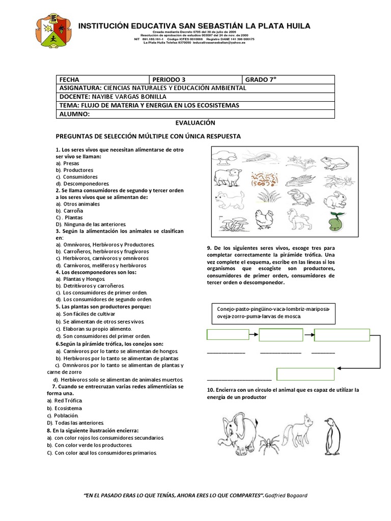 Institución Educativa San Sebastián La Plata Huila: flujo de materia y ...