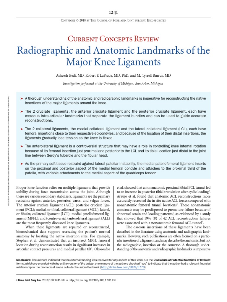 Radiographic and Anatomic Landmarks of the Major Knee Ligaments | Knee ...