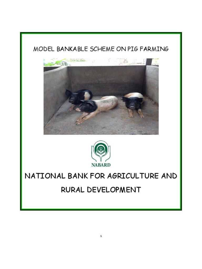 Model Pig Farming English | PDF | Domestic Pig | Agriculture