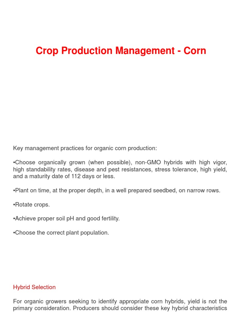 Corn Production Management | PDF | Wheat | Organic Farming