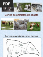 Visceras de La Res | PDF | Menudencias | Carne