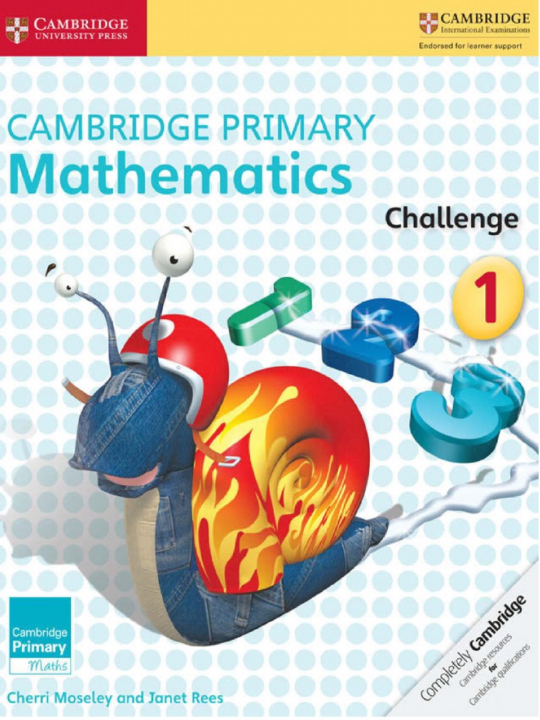 Primary Mathematics | PDF