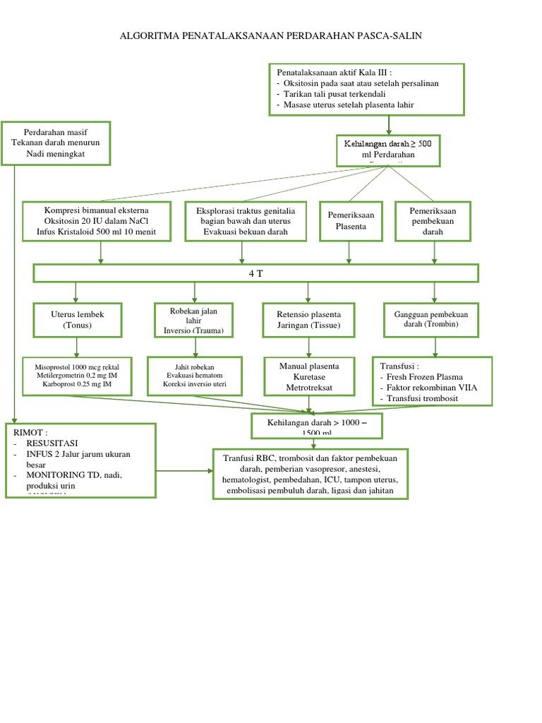 Algoritma Penatalaksanaan Perdarahan Pasca | PDF