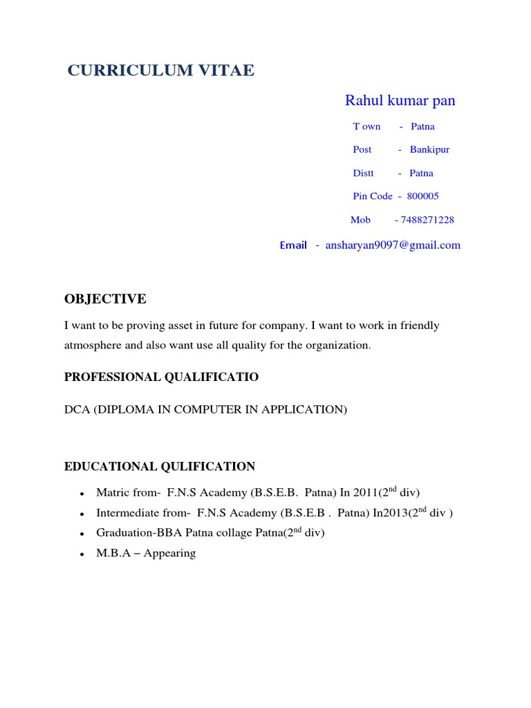Curriculum Vitae: Rahul Kumar Pan | PDF