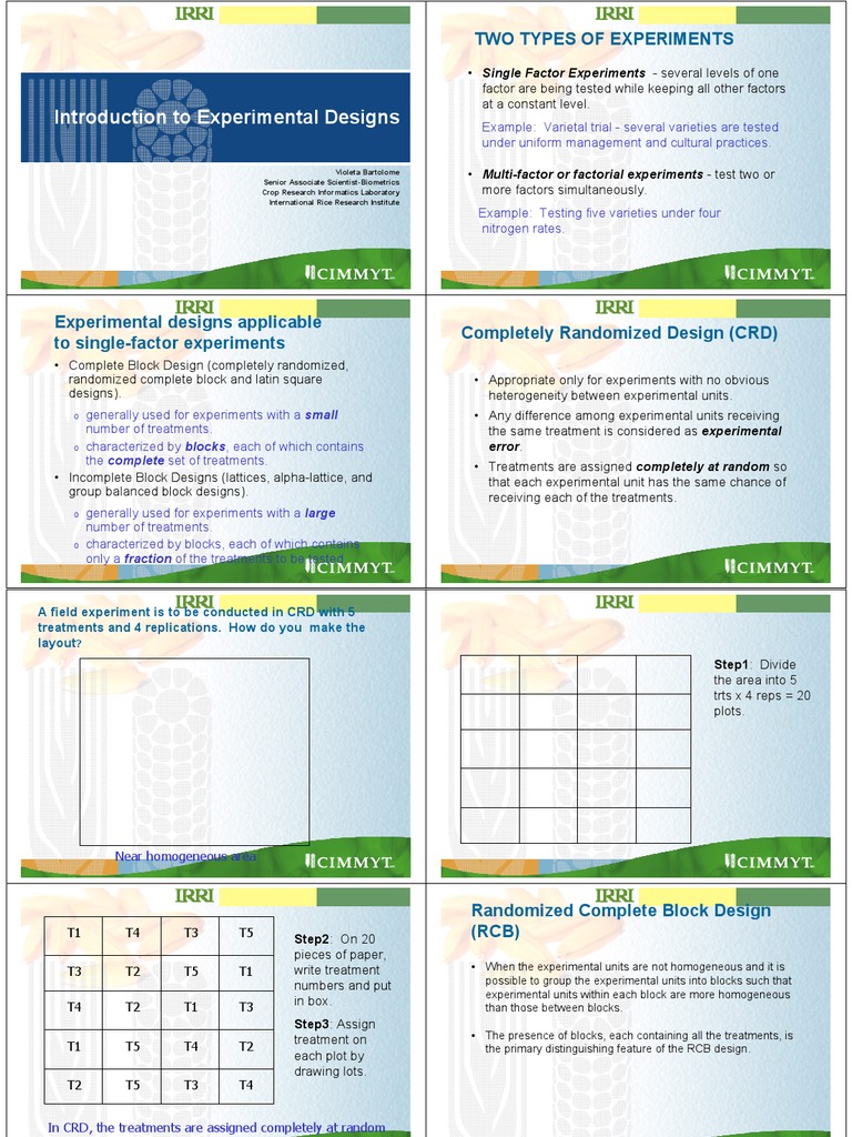Overview of Experimental Designs | PDF | Visual Cortex | Experiment