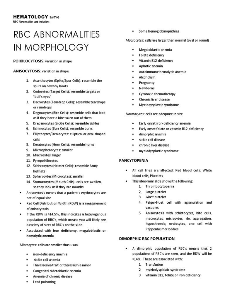 RBC Abnormalities in Morphology: Hematology | PDF | Anemia | Red Blood Cell