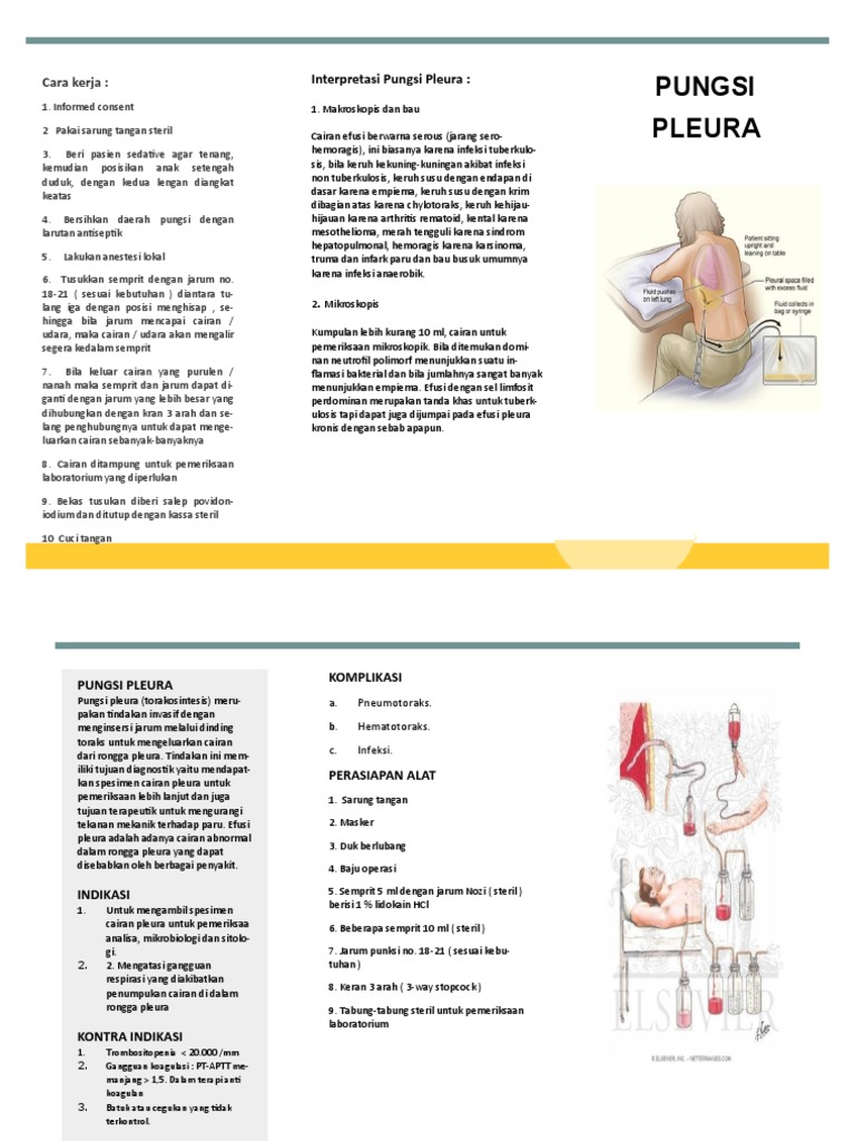 Pungsi PLEURA | PDF