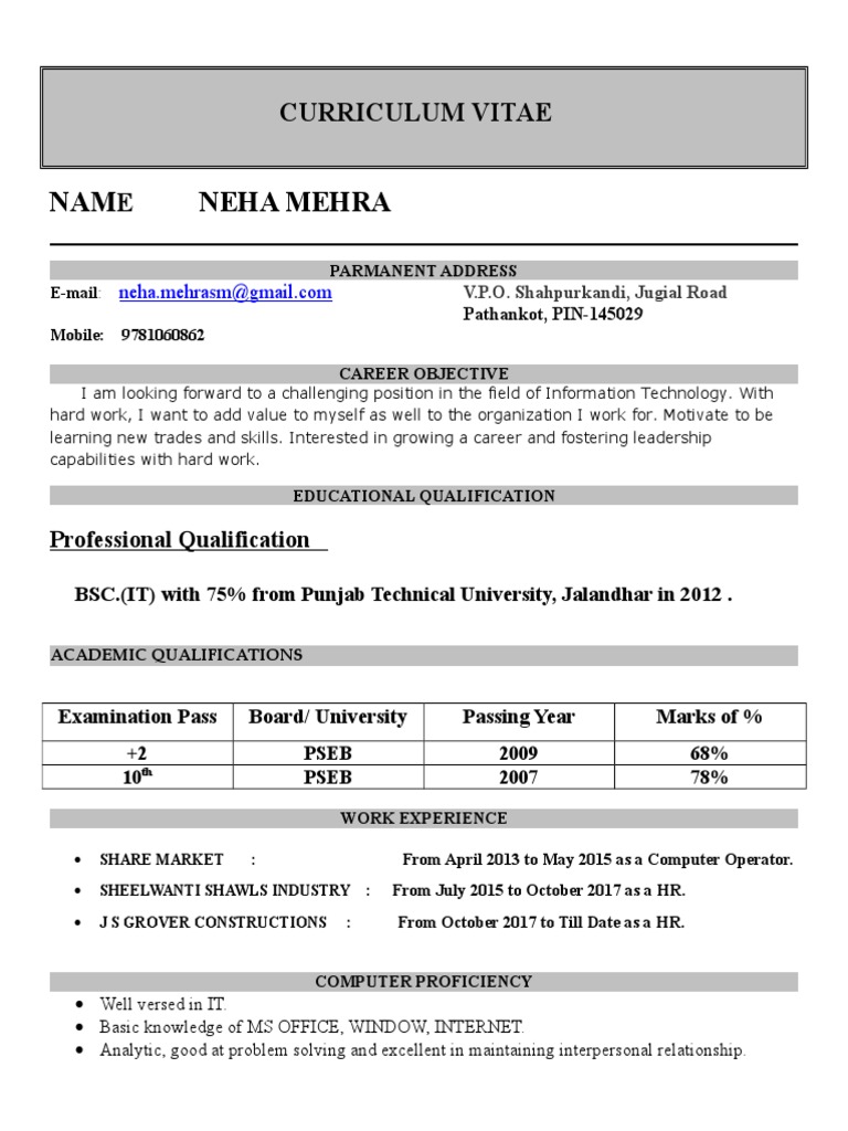Neha Mehra's IT Career CV | PDF