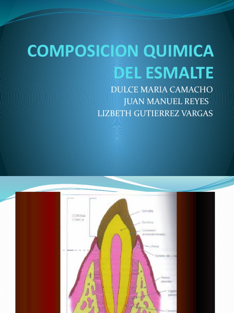 Composicion Quimica Del Esmalte