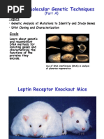 Biology Folio Form 5 Variation | PDF | Gene | Mutation