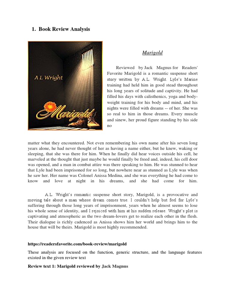 Book Review Analysis | PDF | Dream