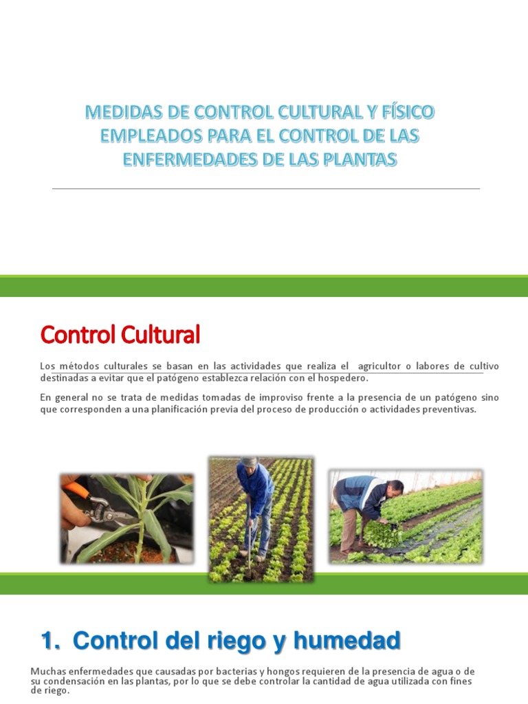 Medidas de Control Cultural y Fisica GRUPO 2 | PDF | Plaga (organismo ...