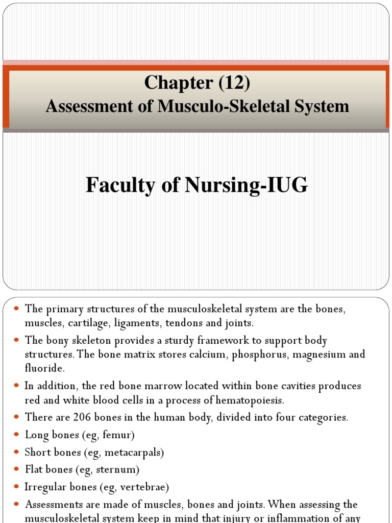 Musculoskeletal System Assessment Guide | PDF | Human Musculoskeletal ...