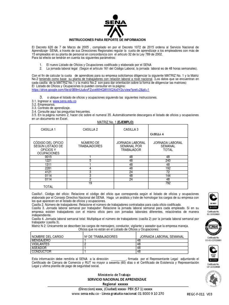 Instrucciones para Reporte de Informacion - Bien 2017 | PDF | Tiempo de ...