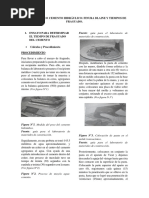 Densidad Aparente Suelta y Compactada | PDF | Densidad | Masa