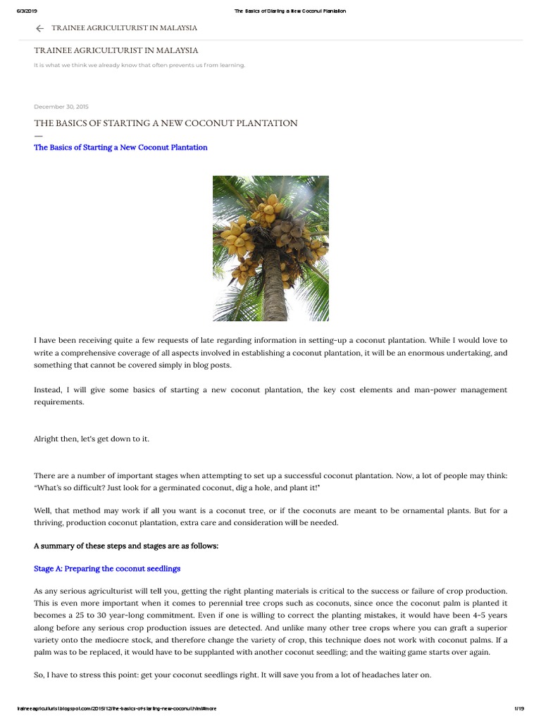 Coconut Plantation Setup Essentials | PDF | Coconut | Fertilizer