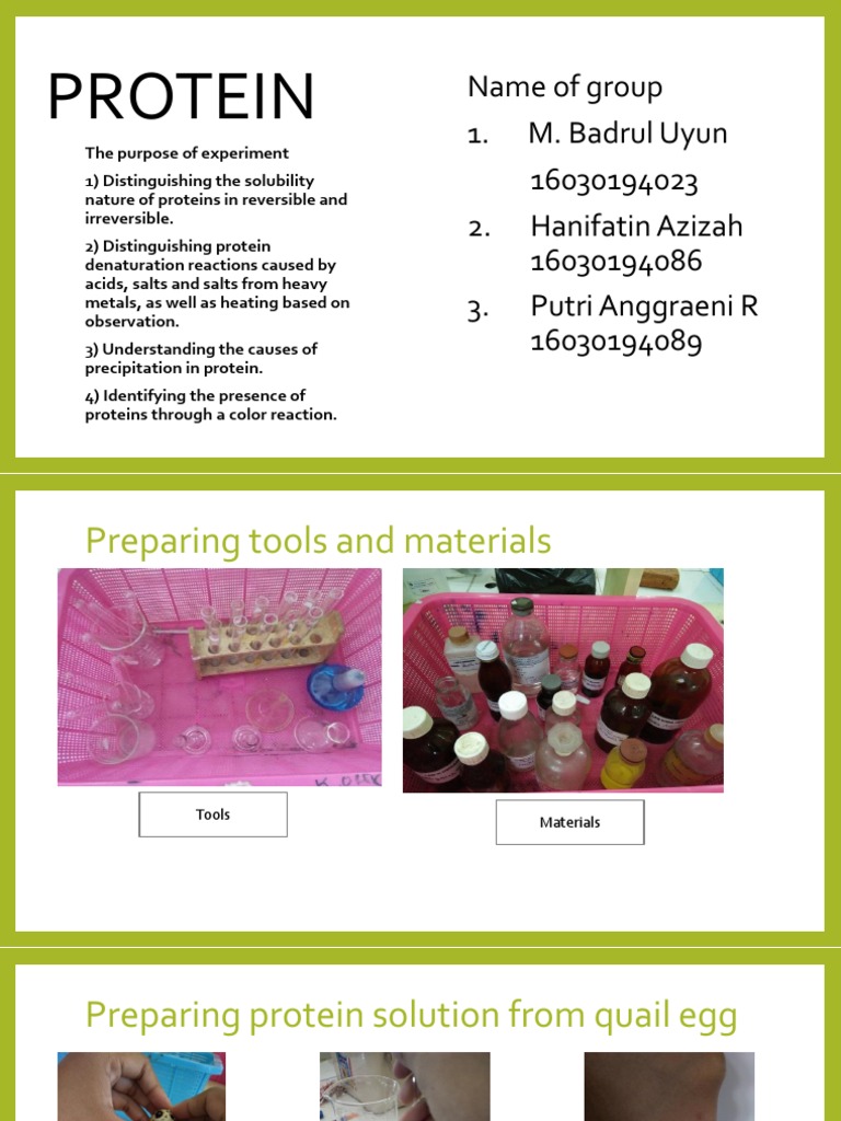 Protein 1 | PDF | Denaturation (Biochemistry) | Nitric Acid