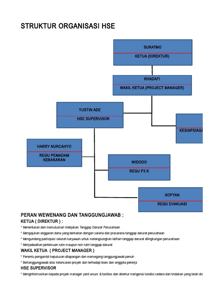 Organisasi Hse | PDF