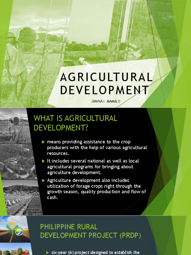 Agricultural Development in Janina I | PDF | Rice | Agriculture