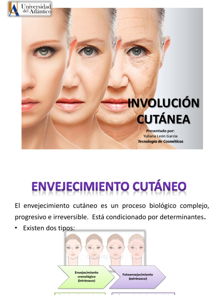 Envejecimiento Cutáneo: Proceso y Factores | PDF | Envejecimiento | Piel