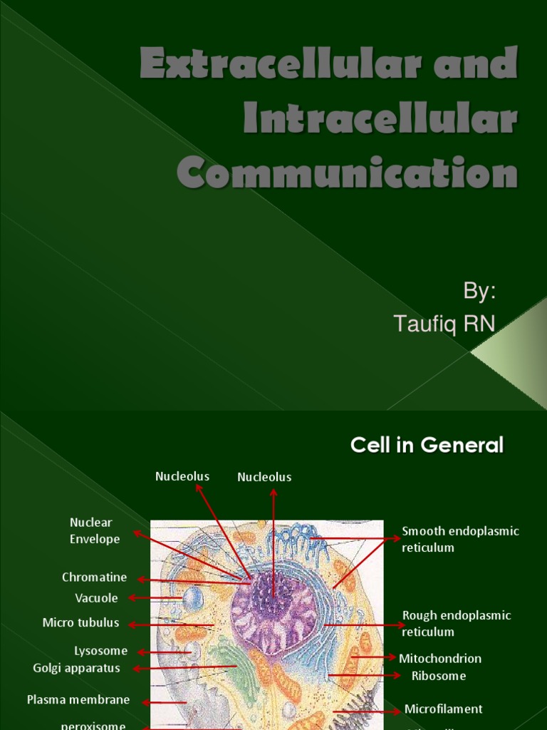 Extracellular and Intracellular Communication | PDF | Cell Signaling ...