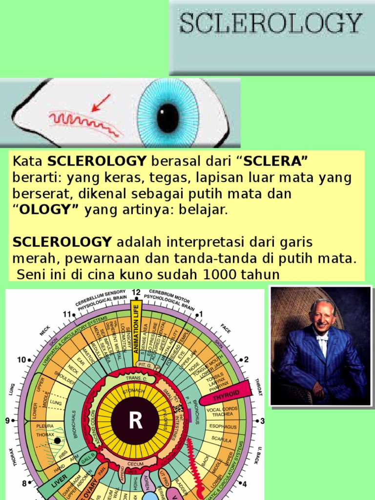 Scleralogy: Understanding Eye Indicators | PDF | Eye Color | Human Anatomy
