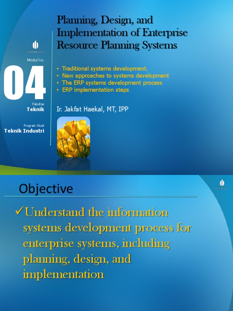 ERP-04 | PDF | Enterprise Resource Planning | Software Development Process