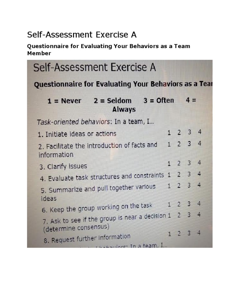 Self-Assessment Exercise A | PDF