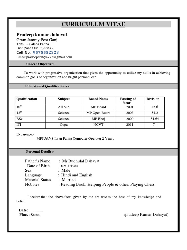 Curriculum Vitae: Pradeep Kumar Dahayat | PDF