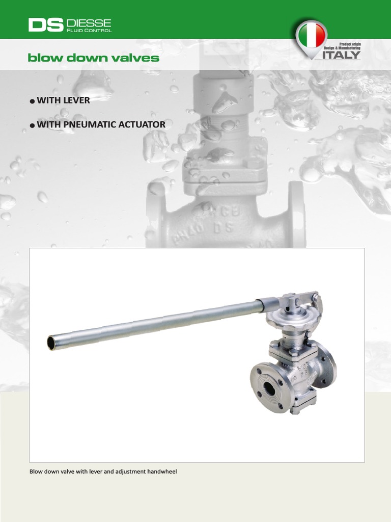 DIESSE Hydraulic Blow Down Valve Guide | PDF | Valve | Chemical Engineering