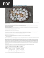 The Three Rs of Writing: Retell, Relate, Reflect | PDF | Applied ...