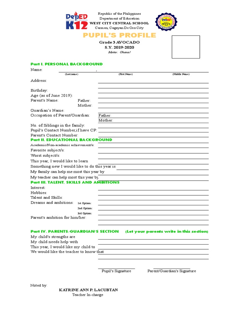 Grade 3 Pupil Profile Sample | PDF | Teachers | Classroom