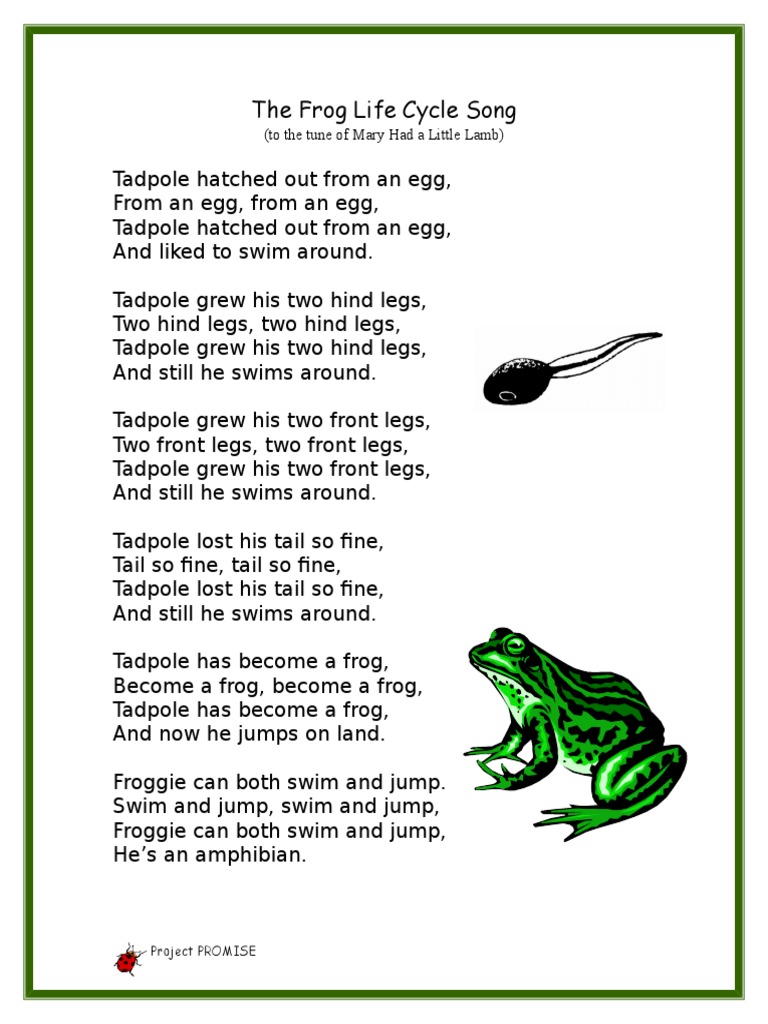 Frog Life Cycle Song for Kids | PDF