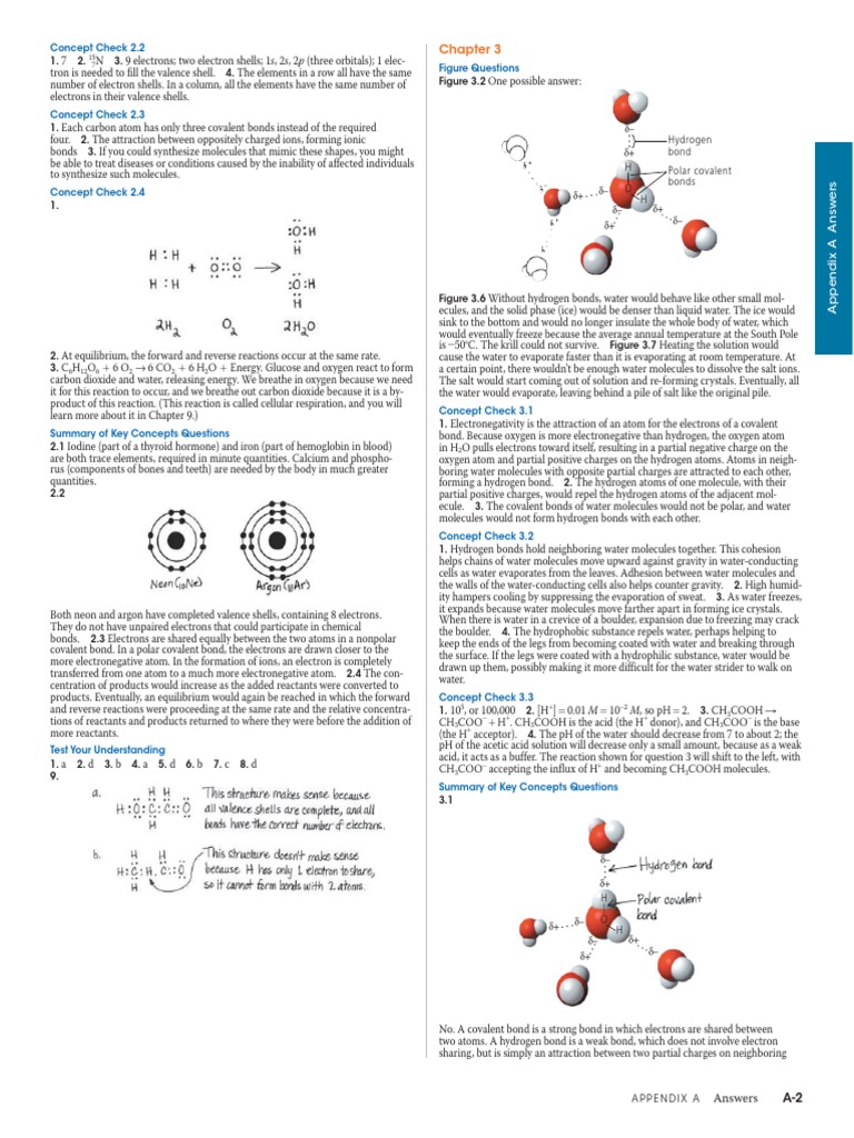 Water Chemistry and Bonding Concepts | PDF | Covalent Bond | Properties ...