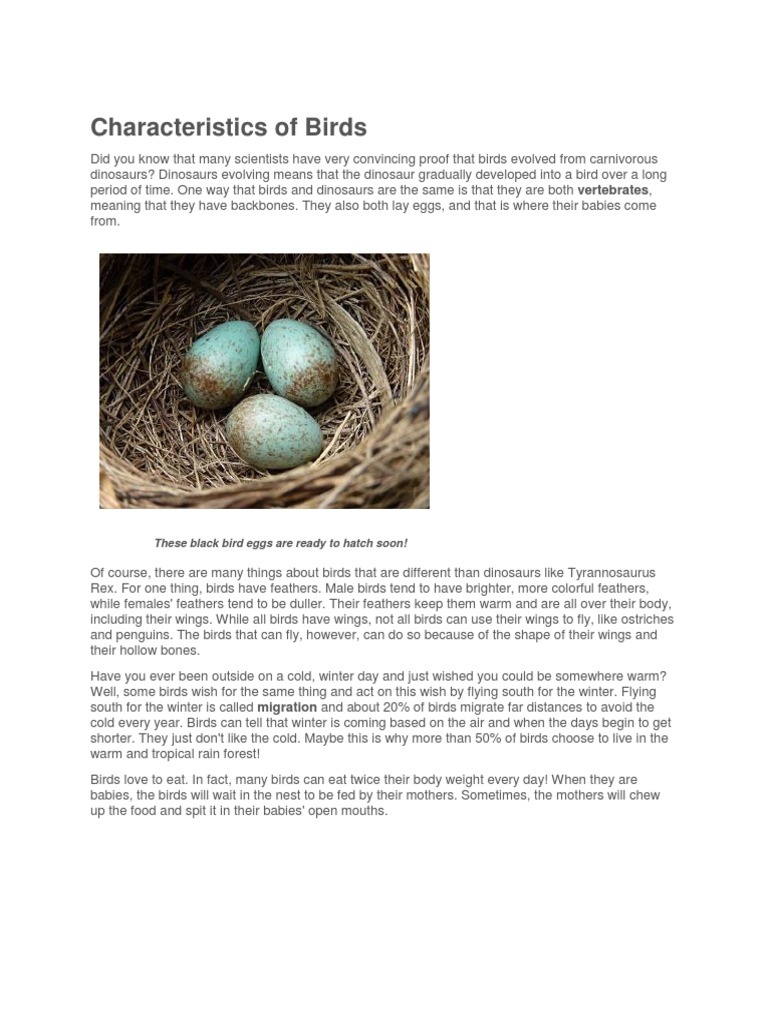 Characteristics of Birds: Vertebrates | PDF