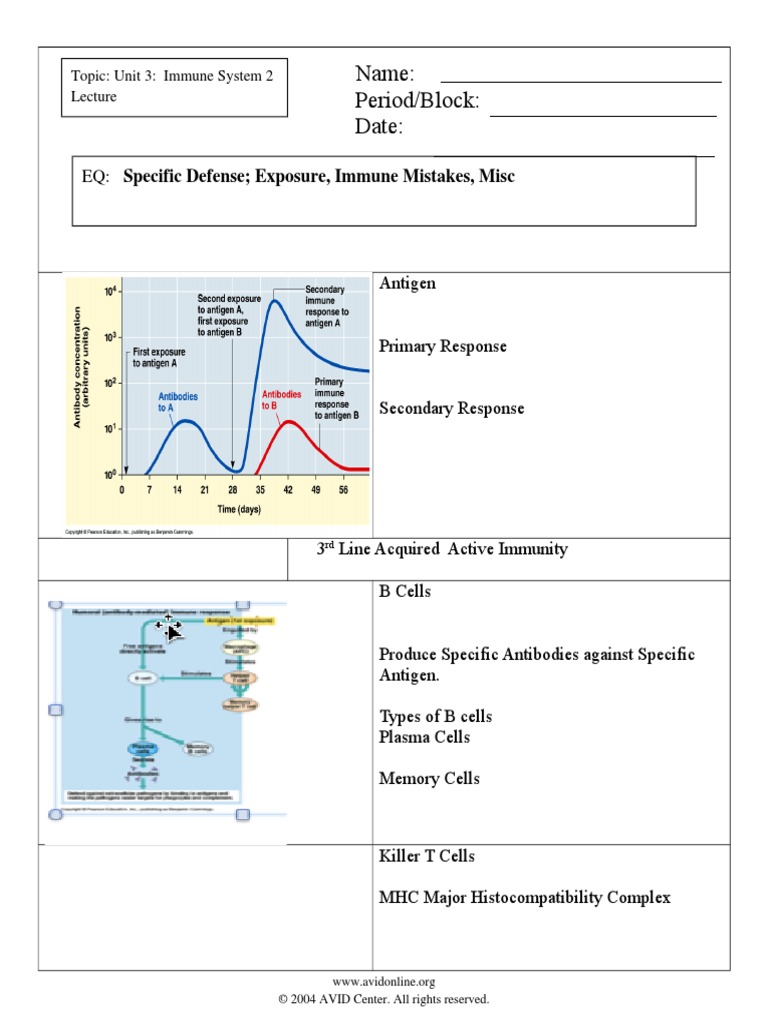 Name: Period/Block: Date:: Topic: Unit 3: Immune System 2 | Download ... Name: Period/Block: Date:: Topic: Unit 3: Immune System 2 | Download ...