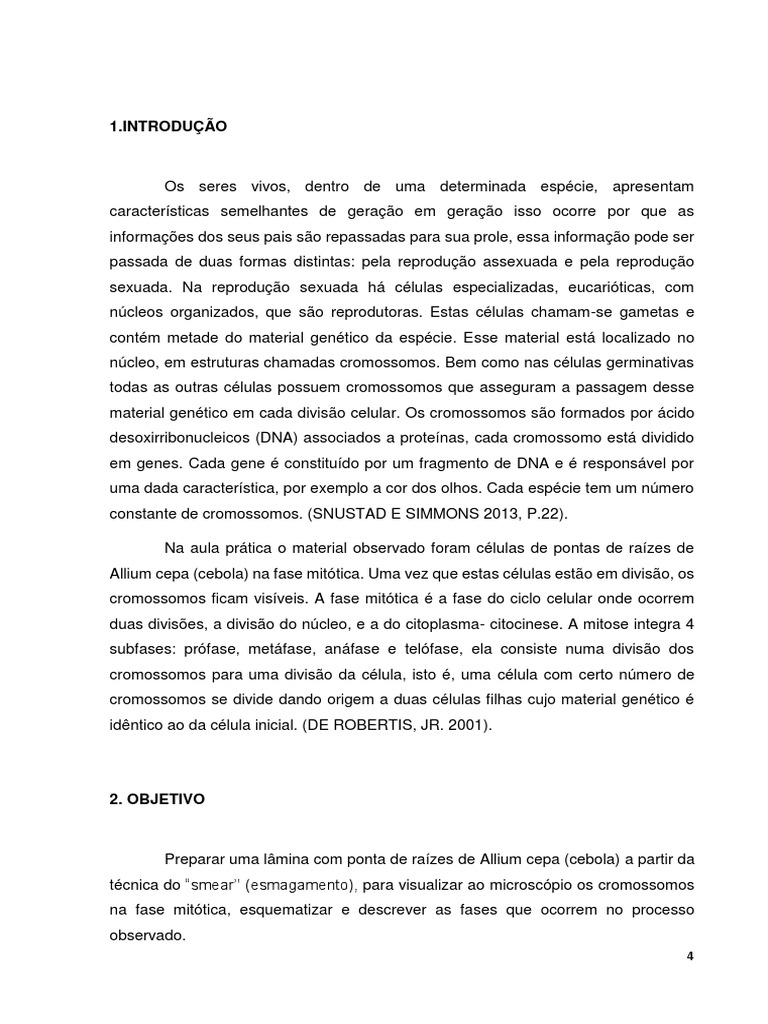 Relatório de Aula Prática de Genética Mitose Com Foto | Download grátis ...