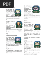 Calendario Maya Haab' Poqomchi' Oficial 2024-2025 | PDF | Civilización ...