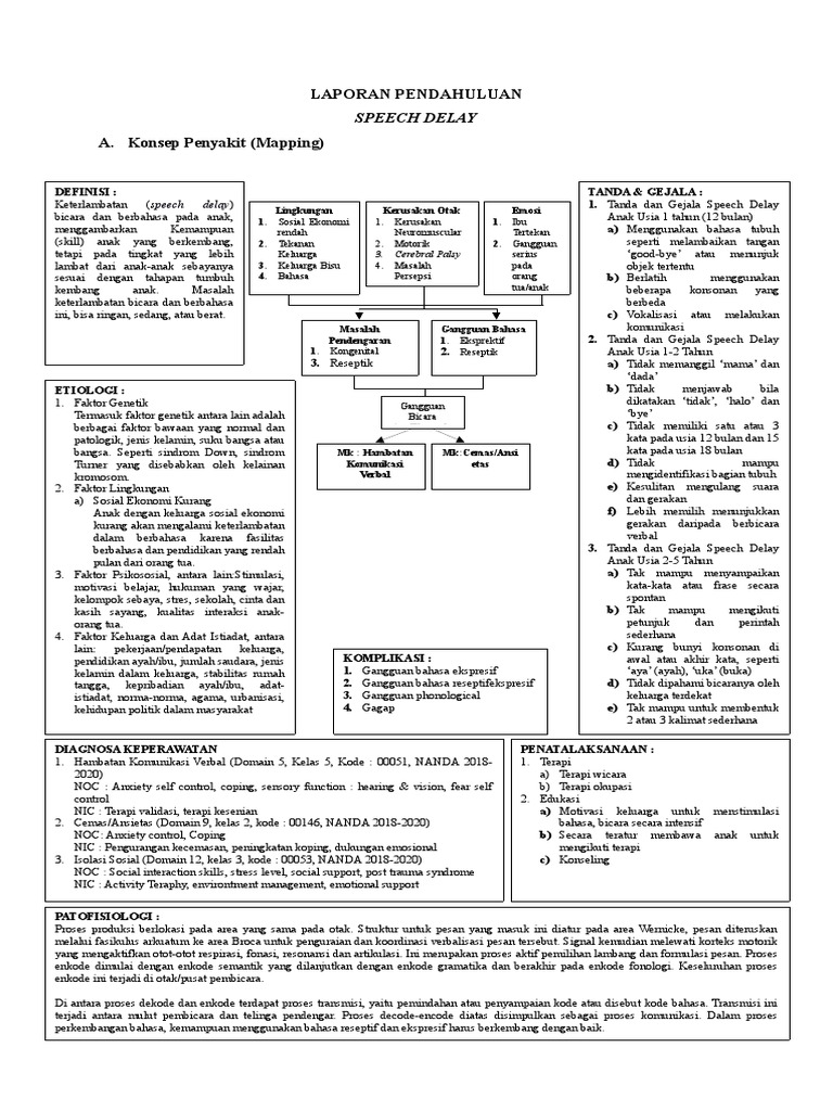 1.LP Speech Delay | PDF