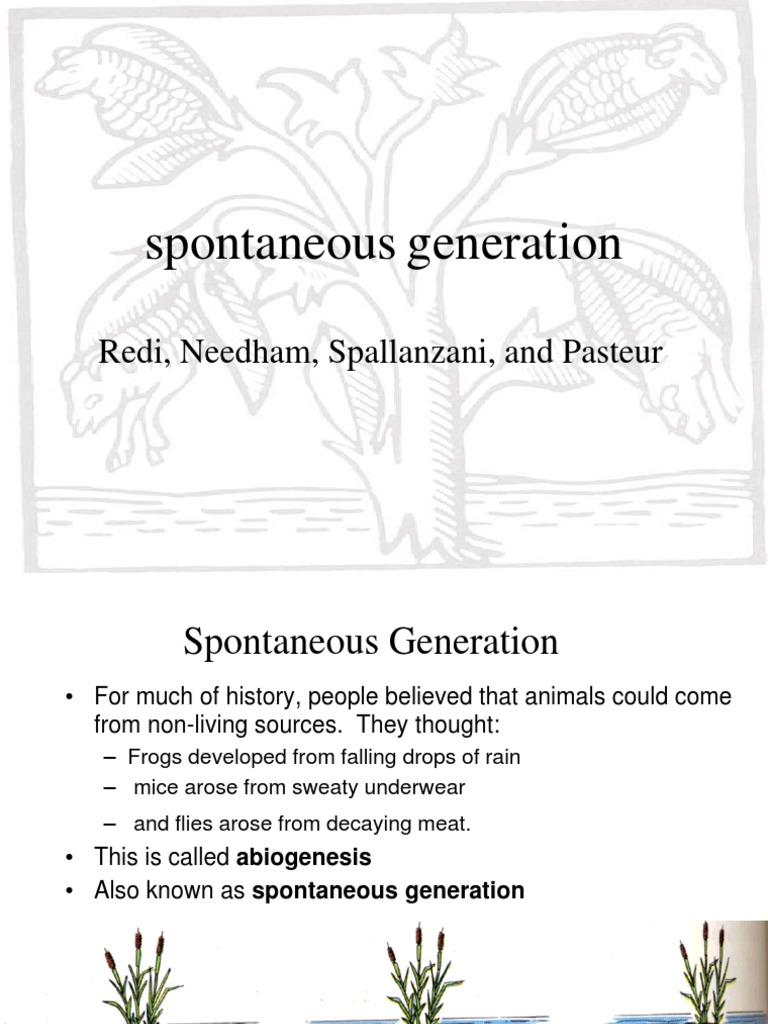 Spontaneous Generation: Redi, Needham, Spallanzani, and Pasteur | PDF ...