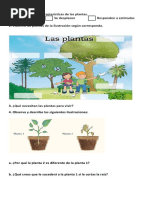 Lapbook sobre las plantas para primaria | PDF | Tallo de la planta ...