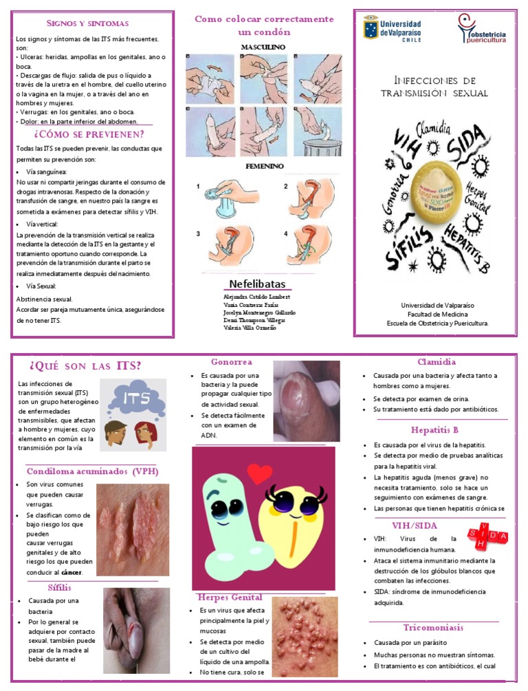 Triptico ITS | PDF | Infección transmitida sexualmente | Virus